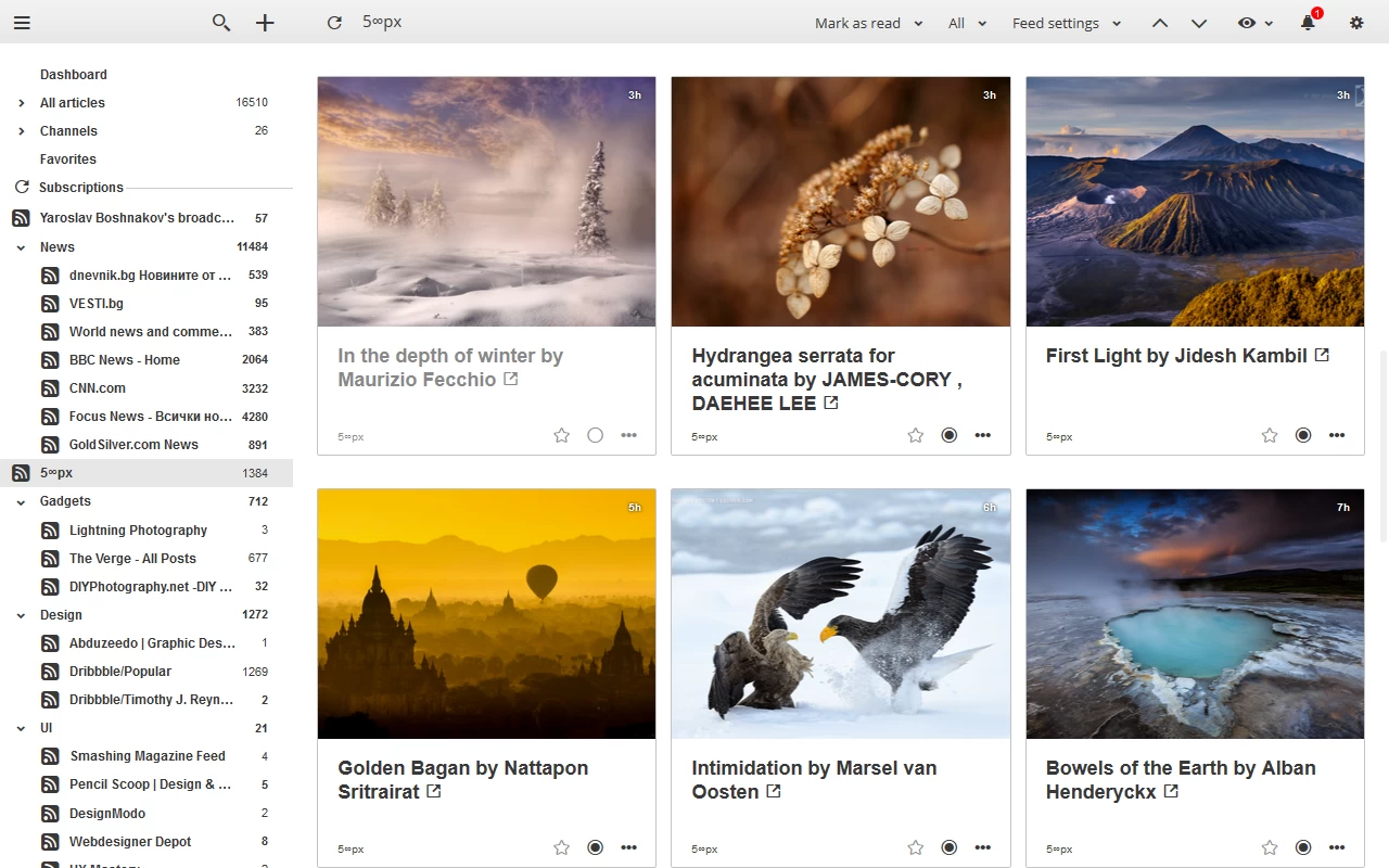 Themes, full Right-To-Left support and more | Inoreader blog